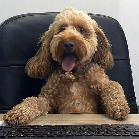 Private Heart & Cancer Screening Clinic - Guildford, Surrey | SCVC